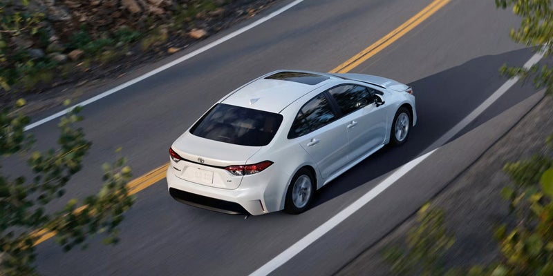 2025 Corolla Híbrido